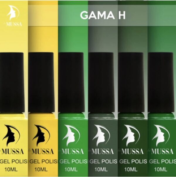 Mussa Gama H – Top top